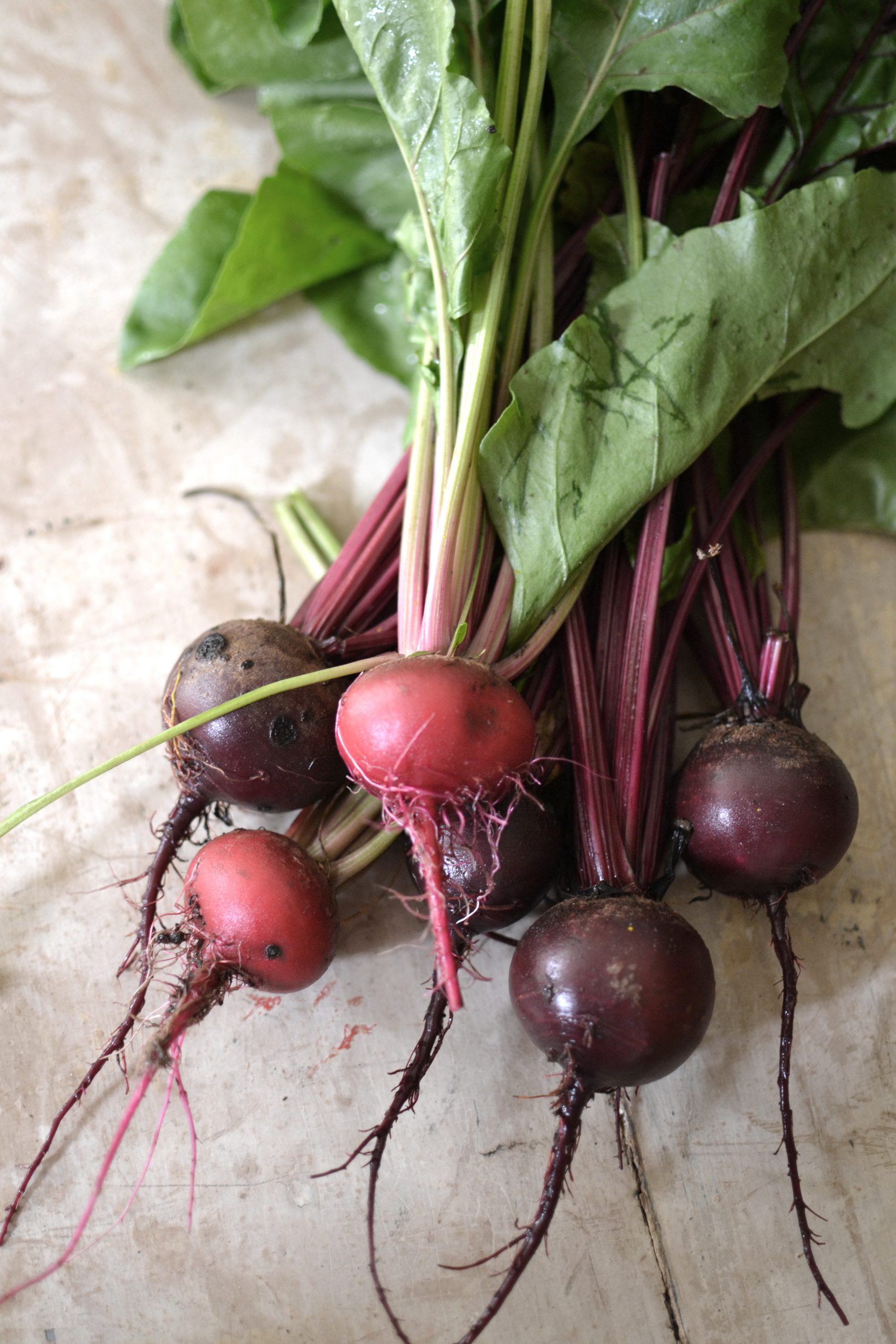 New Recipe for Club Members - Beetroot, Black Pepper & Feta Batards ...