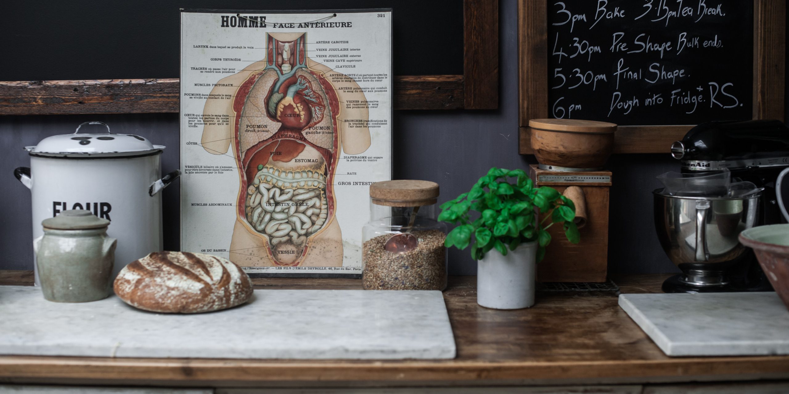 Roseburia - The Sourdough Club