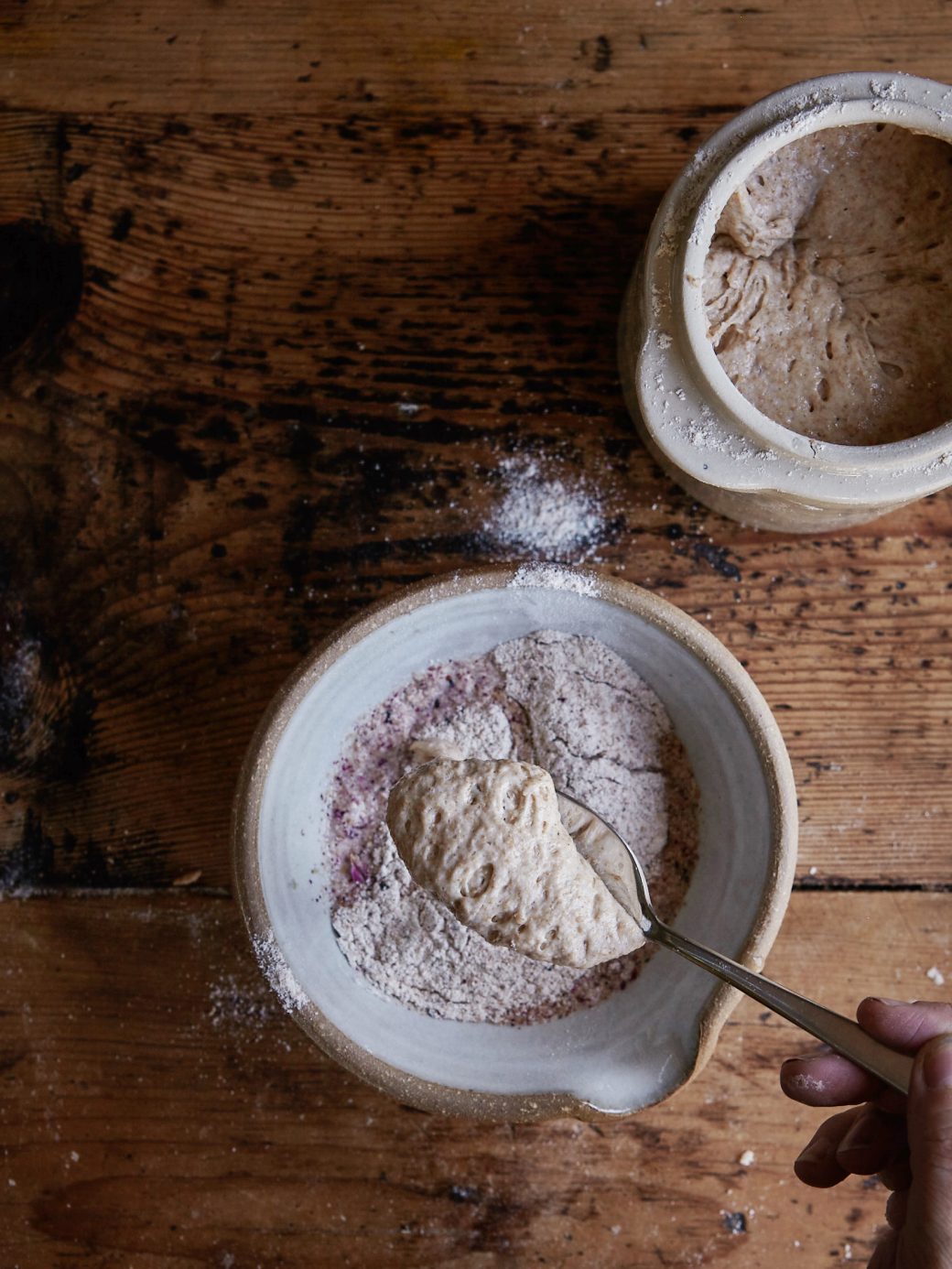 Fermentation Explained - The Sourdough Club