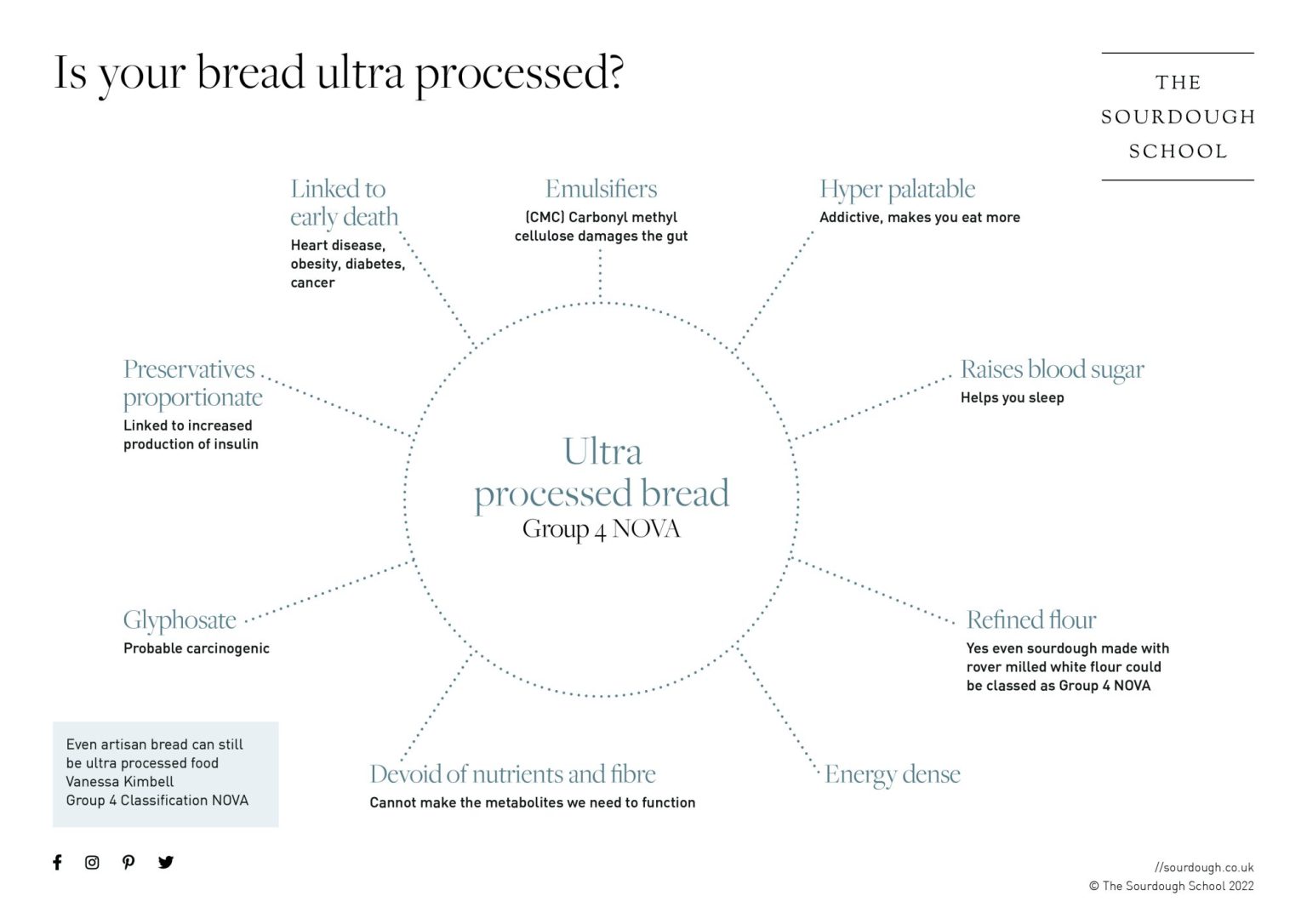 How bread harms or supports health - The Sourdough Club